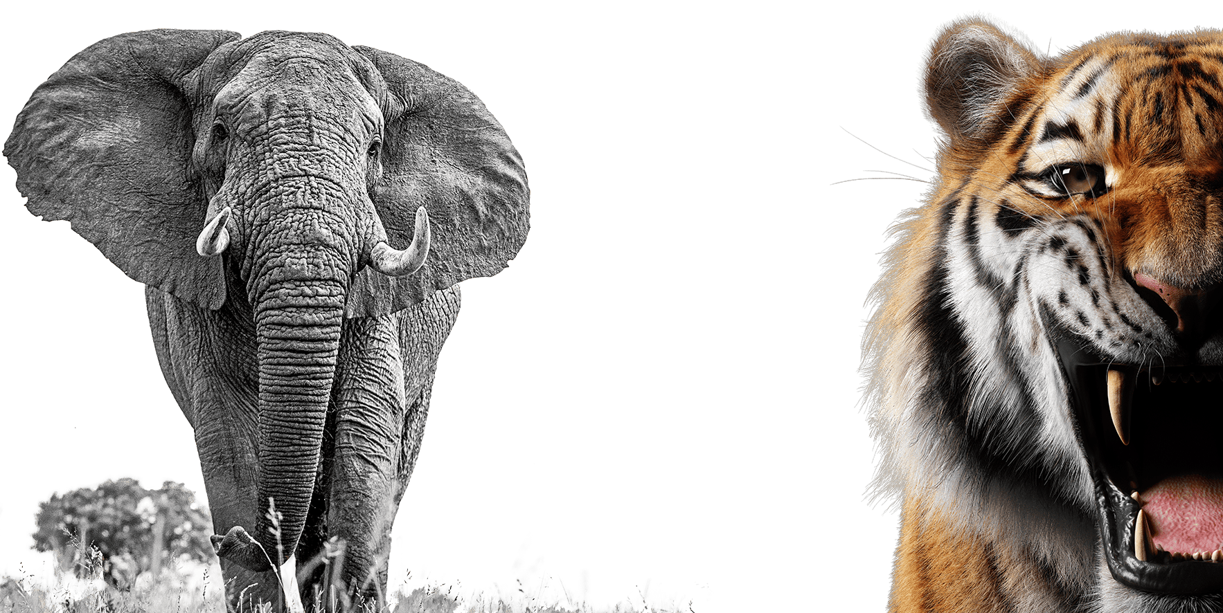 Uninstall - Graiphic